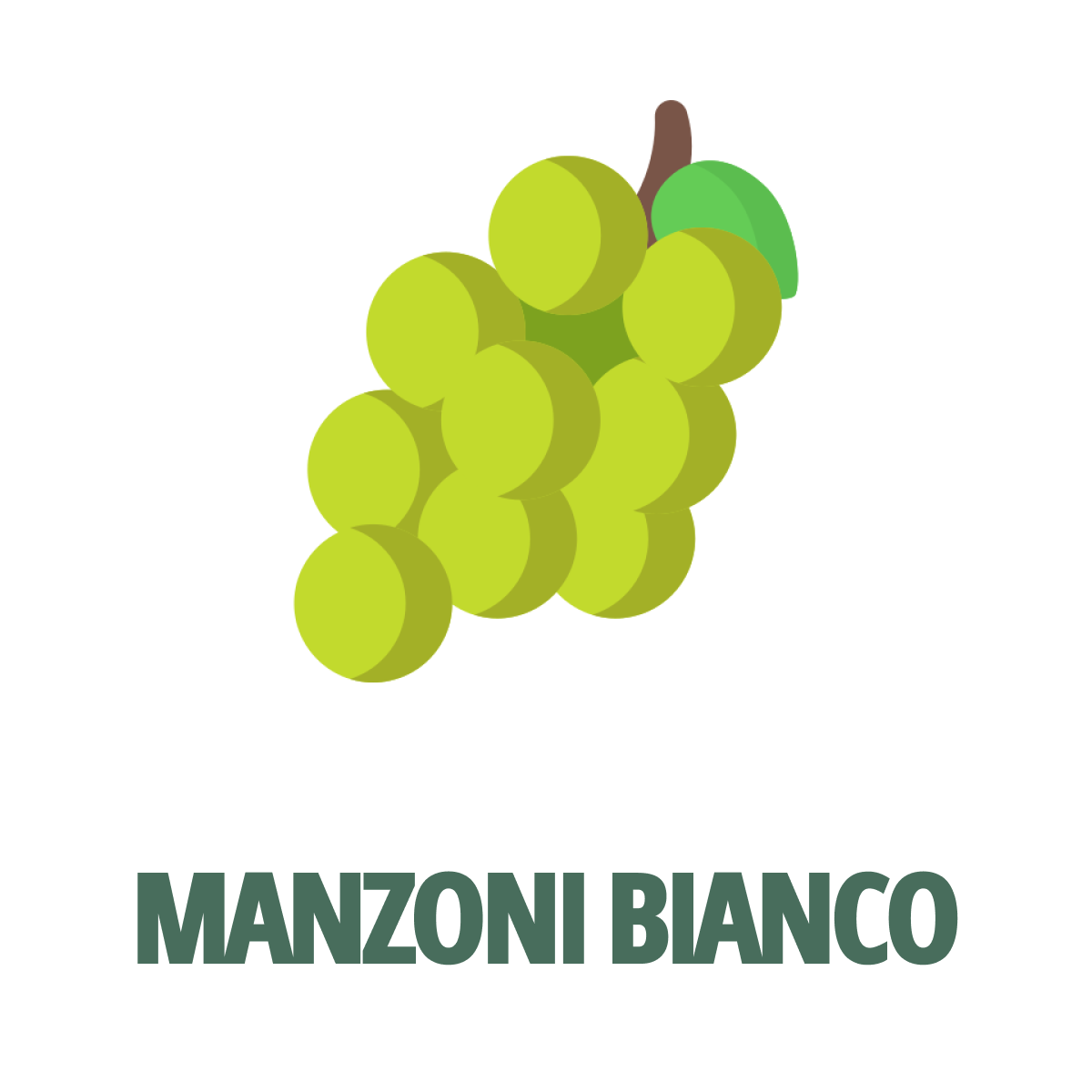Grape Varietal: Manzoni Bianco | White Wine – BoundbyWine