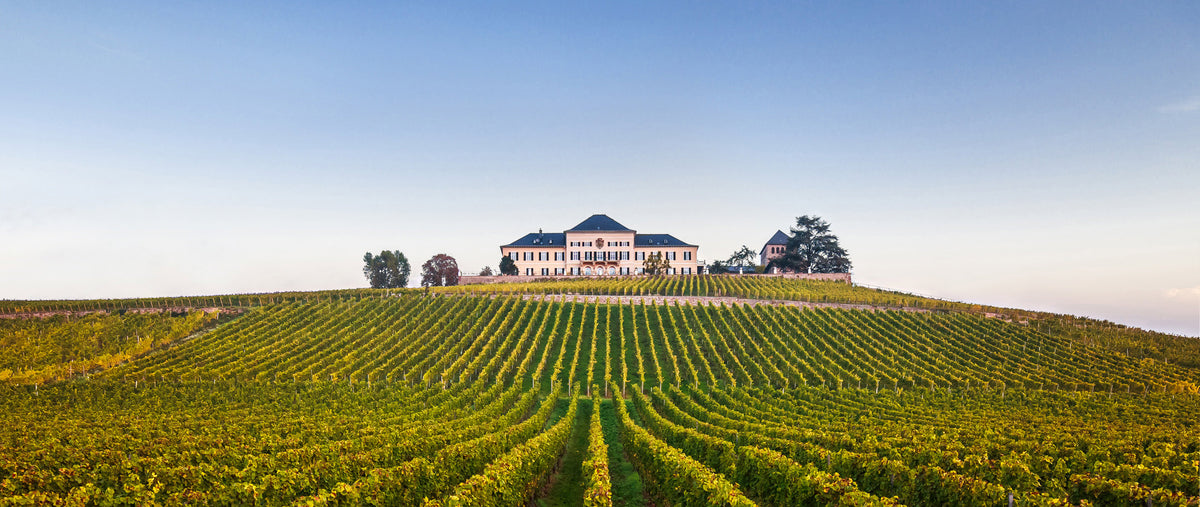 Schloss Johannisberg – BoundbyWine