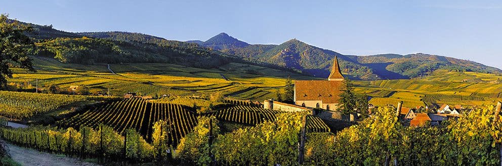 Maison Trimbach | boundbywine SG – BoundbyWine