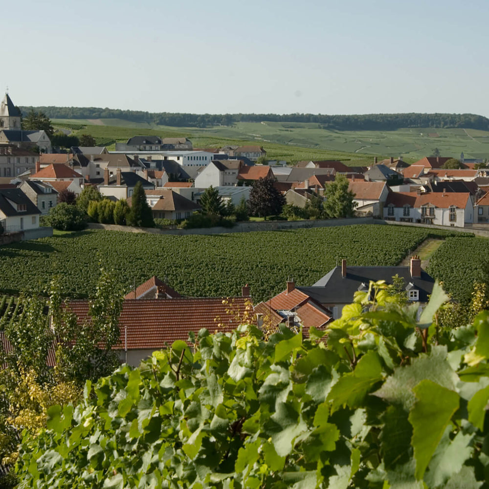 Le Mesnil – BoundbyWine