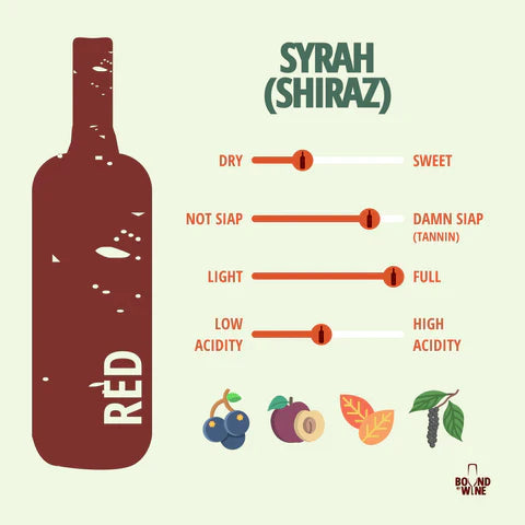 Syrah (Shiraz): Wine Taste, Style & Regions – BoundbyWine