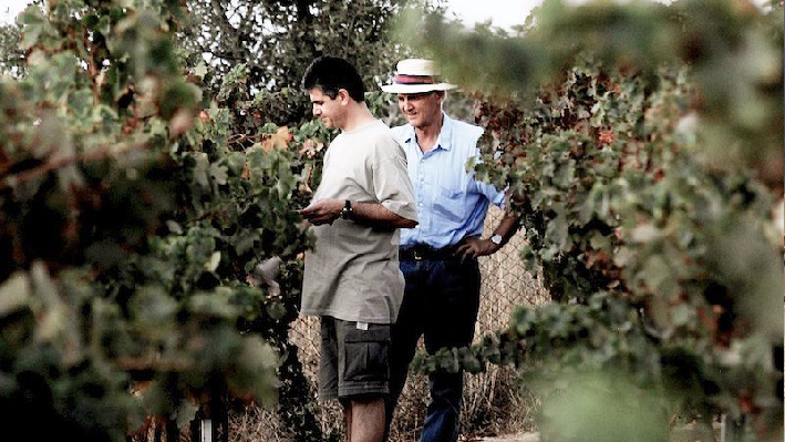 Aurora | boundbywine SG – BoundbyWine