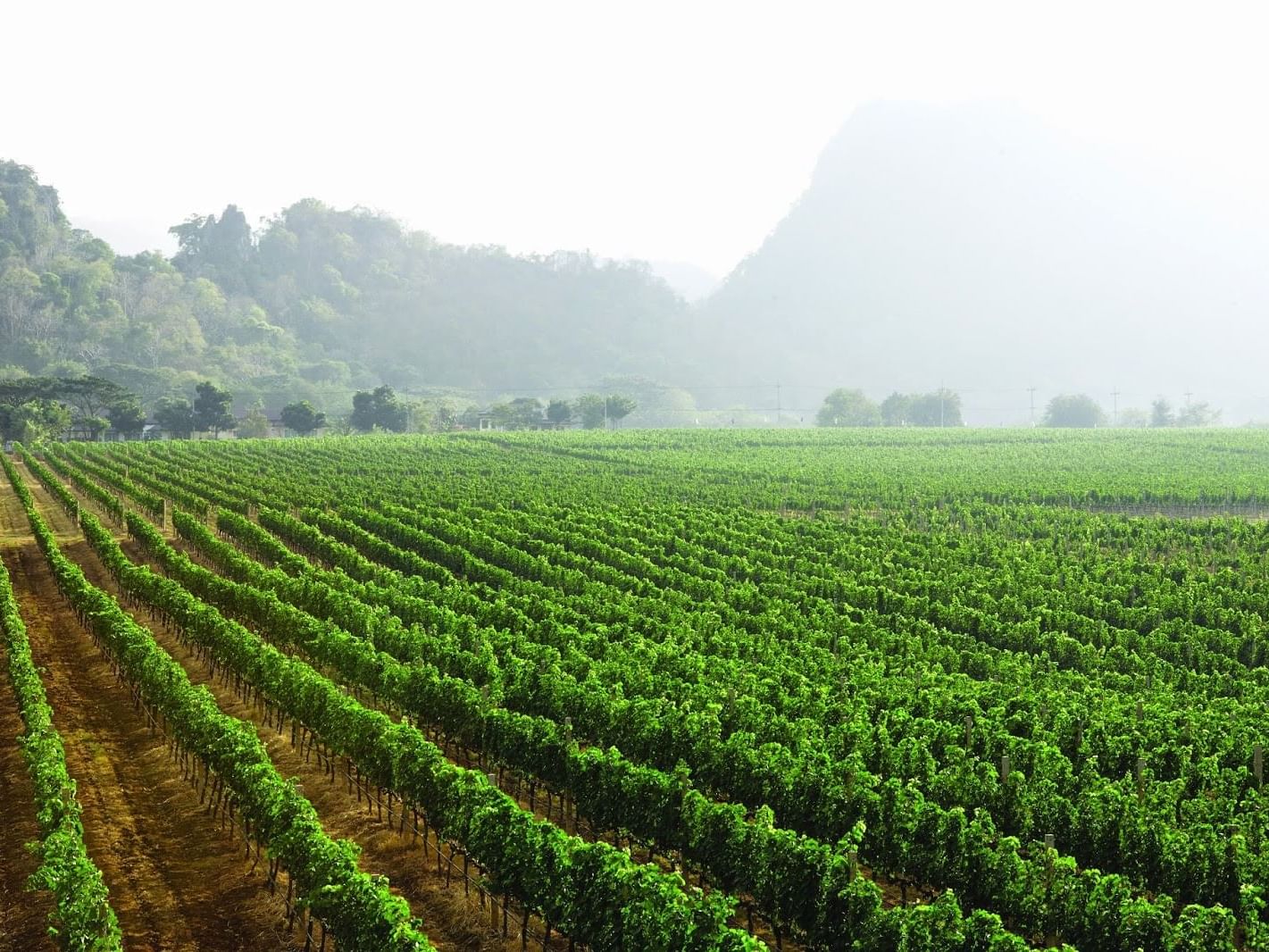 GranMonte Estate | boundbywine delivery SG – BoundbyWine