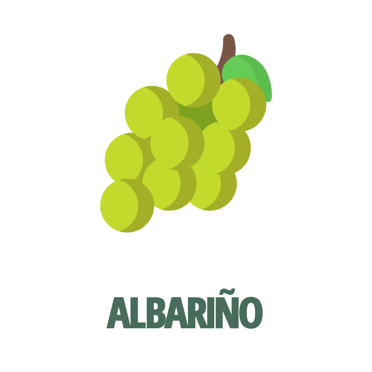 Grape Varietal: Albariño (Alvarinho) | Buy Wine Online | Singapore ...