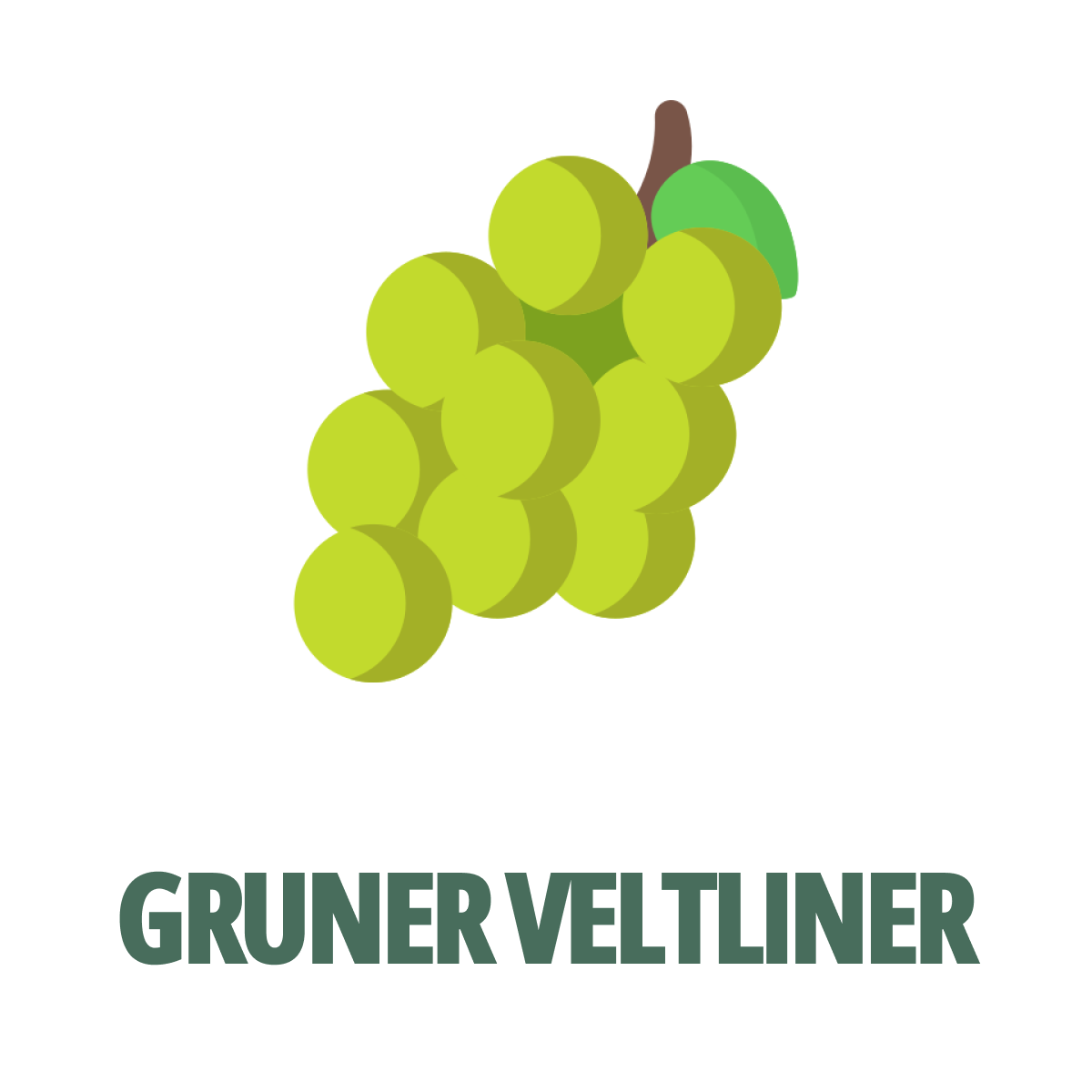 Grape Varietal: Grüner Veltliner | Buy Wine Online | Singapore ...