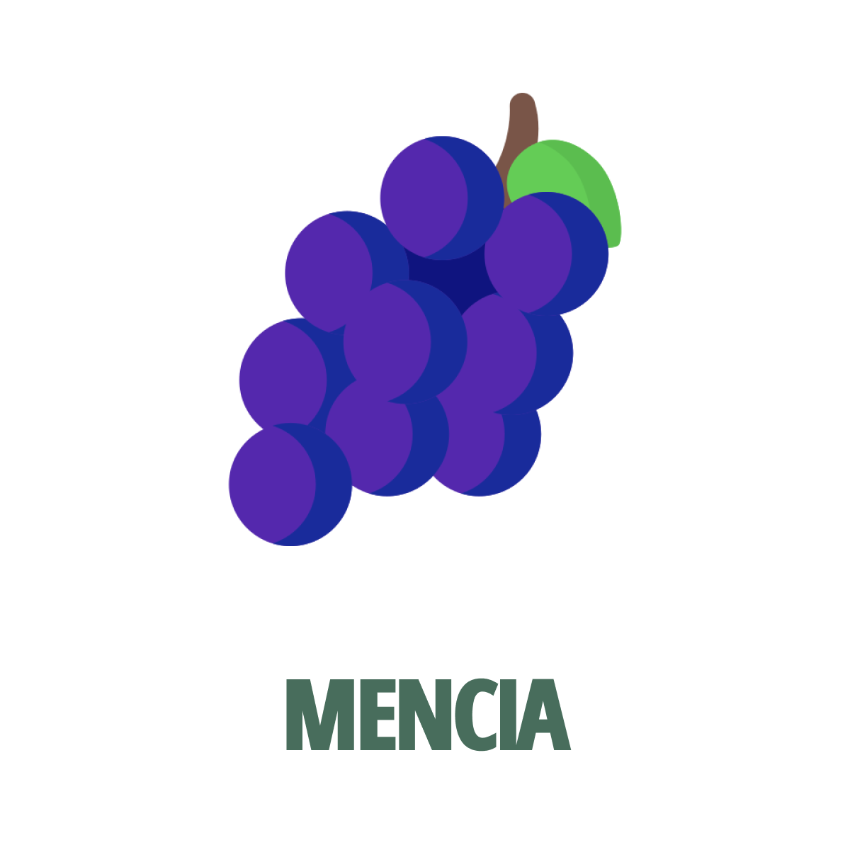 Grape Varietal: Mencia | Buy Wine Online | Singapore – BoundbyWine