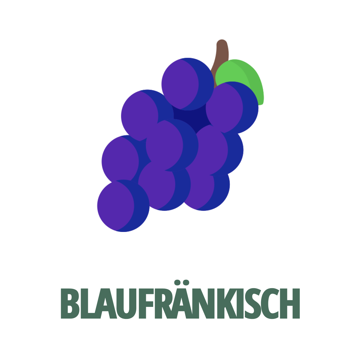 Grape Varietal: Blaufränkisch (Kékfrankos, Lemberger) | Buy Wine Online ...