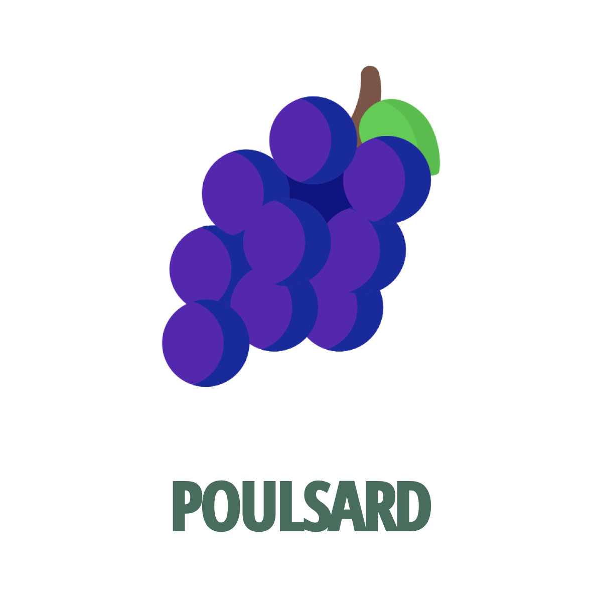 Grape Varietal: Poulsard | Buy Wine Online | Singapore – BoundbyWine