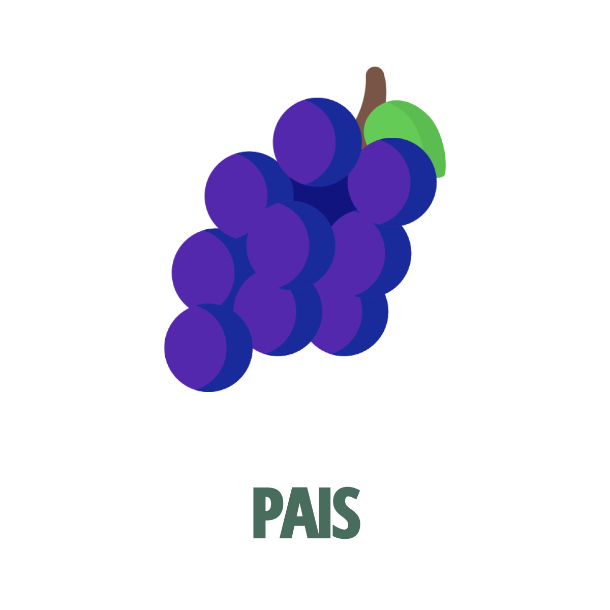 Grape Varietal: Pais | Buy Wine Online | Singapore – BoundbyWine