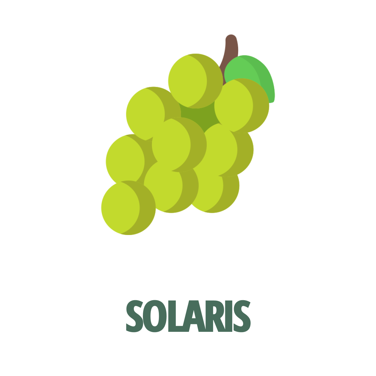 Grape Varietal: Solaris | White Wine – BoundbyWine