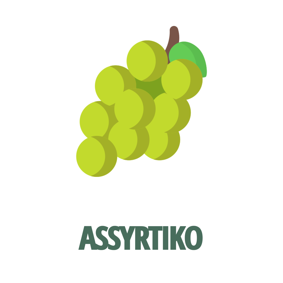 Grape Varietal: Assyrtiko | Buy Wine Online | Singapore – BoundbyWine