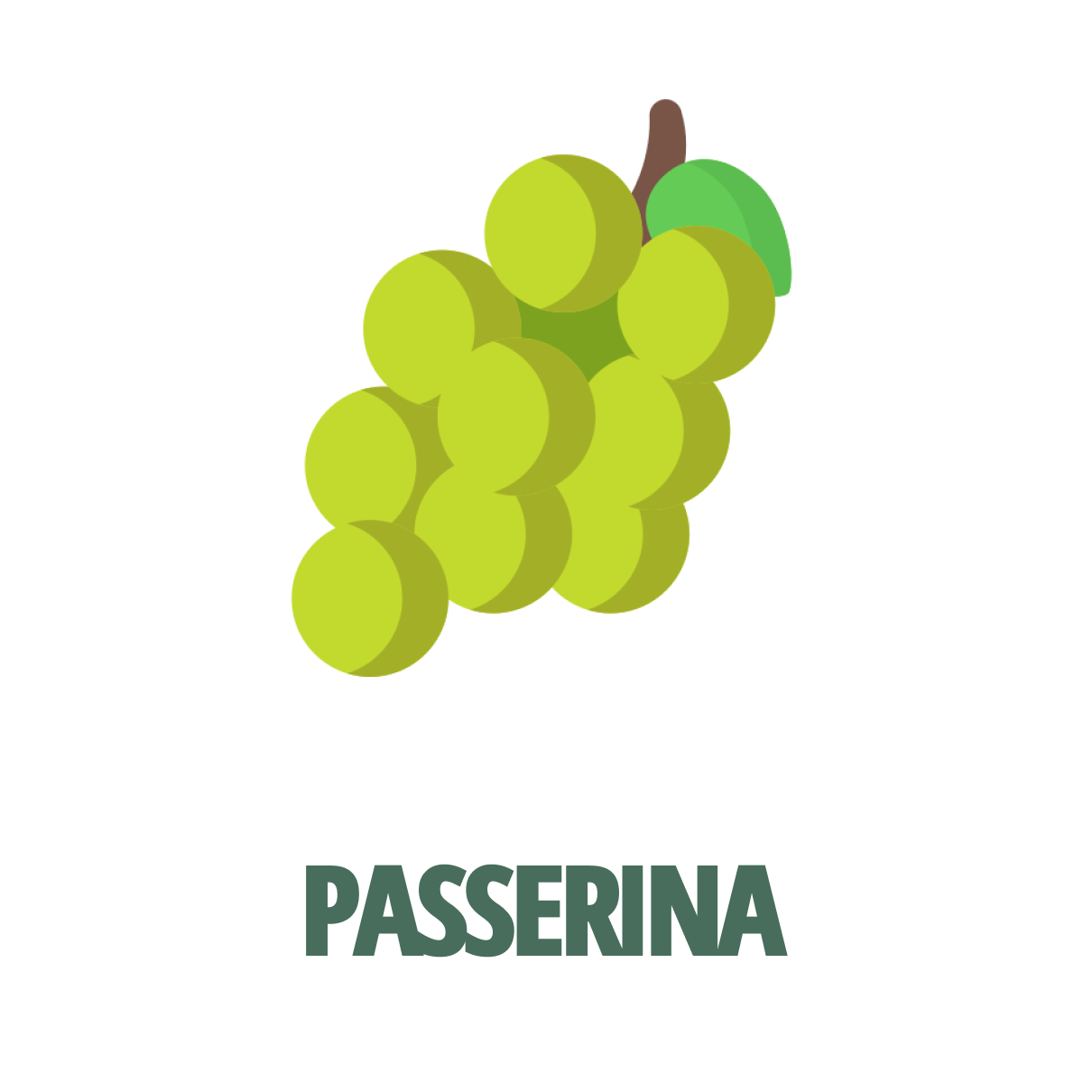 Grape Varietal: Passerina | Buy Wine Online | Singapore – BoundbyWine
