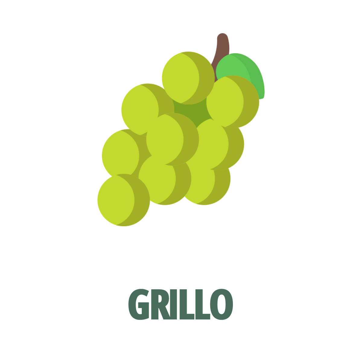 Grape Varietal: Grillo | Buy Wine Online | Singapore – BoundbyWine