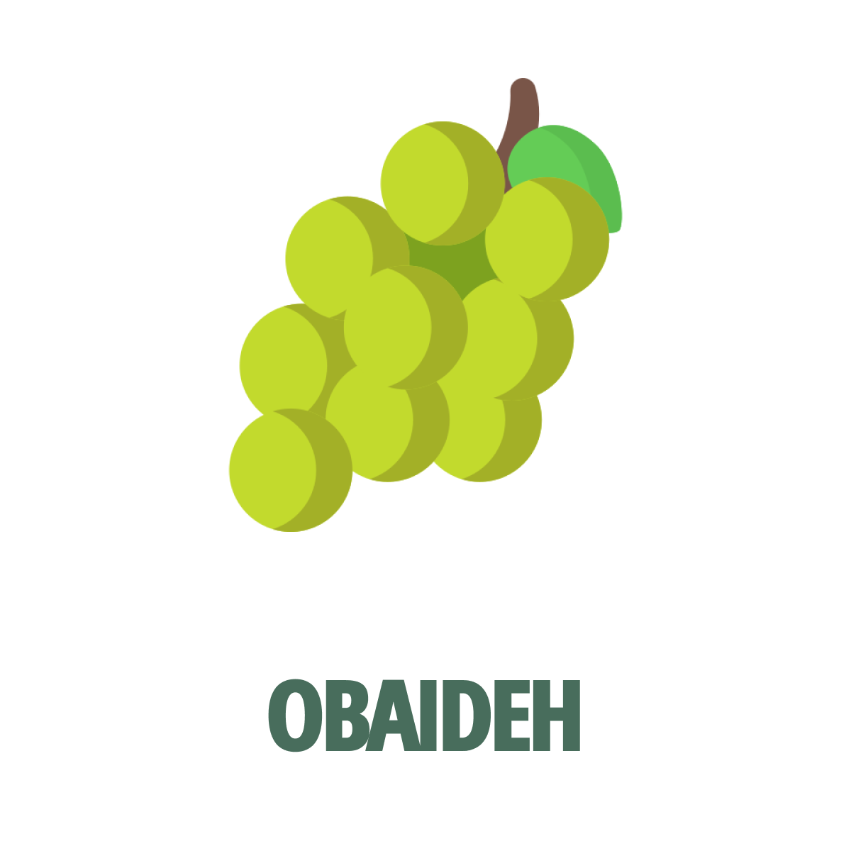 Grape Varietal: Obaideh (Obeidy) | Buy Wine Online | Singapore ...