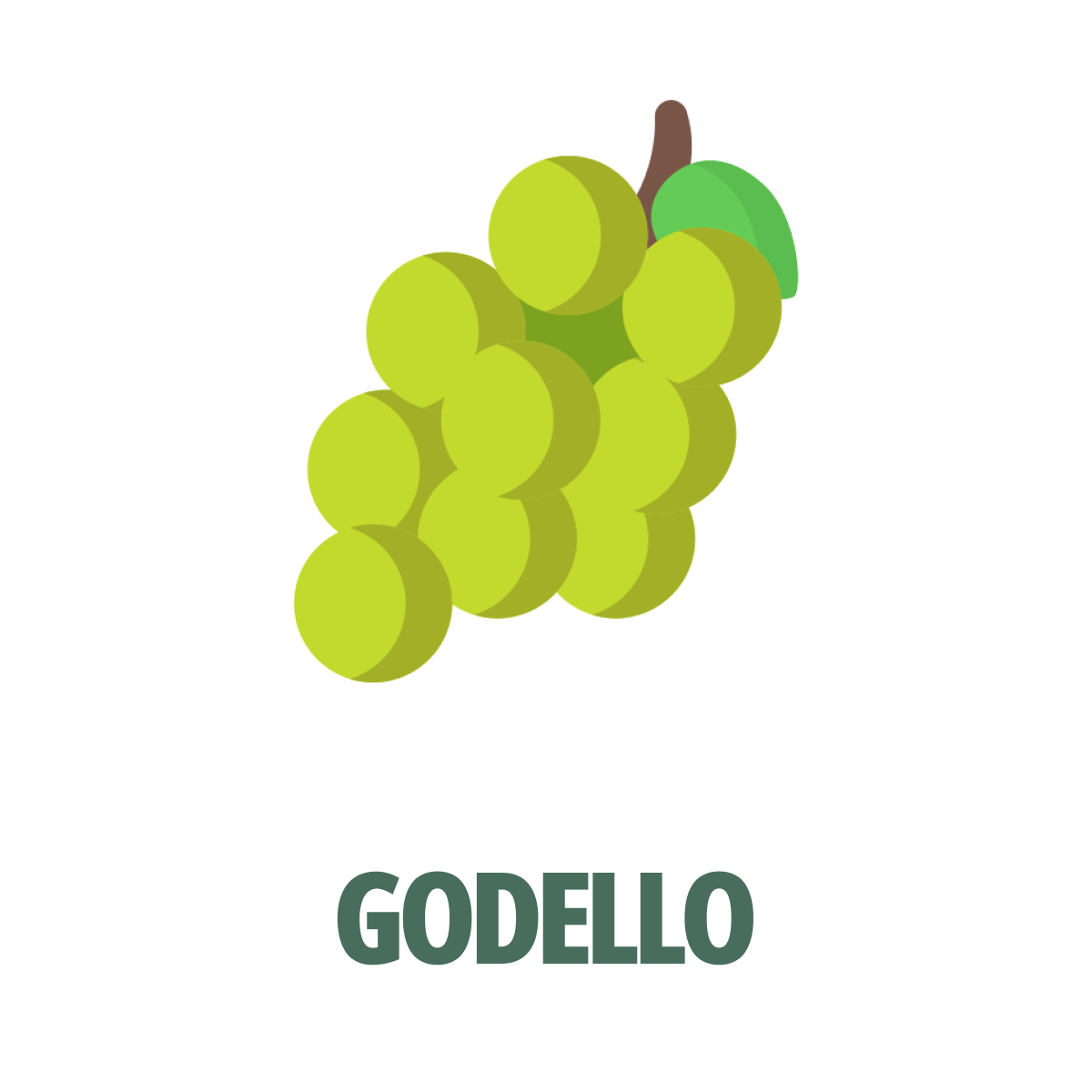 Grape Varietal: Godello (Verdelho, Gouveio) | Buy Wine Online ...