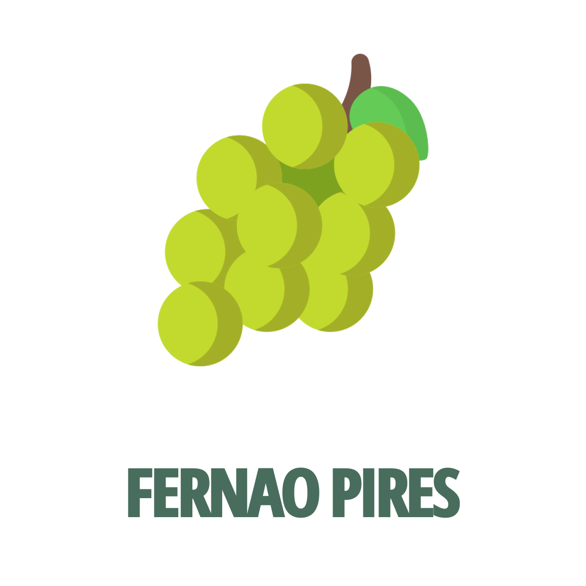 Grape Varietal: Fernao Pires | Buy Wine Online | Singapore – BoundbyWine