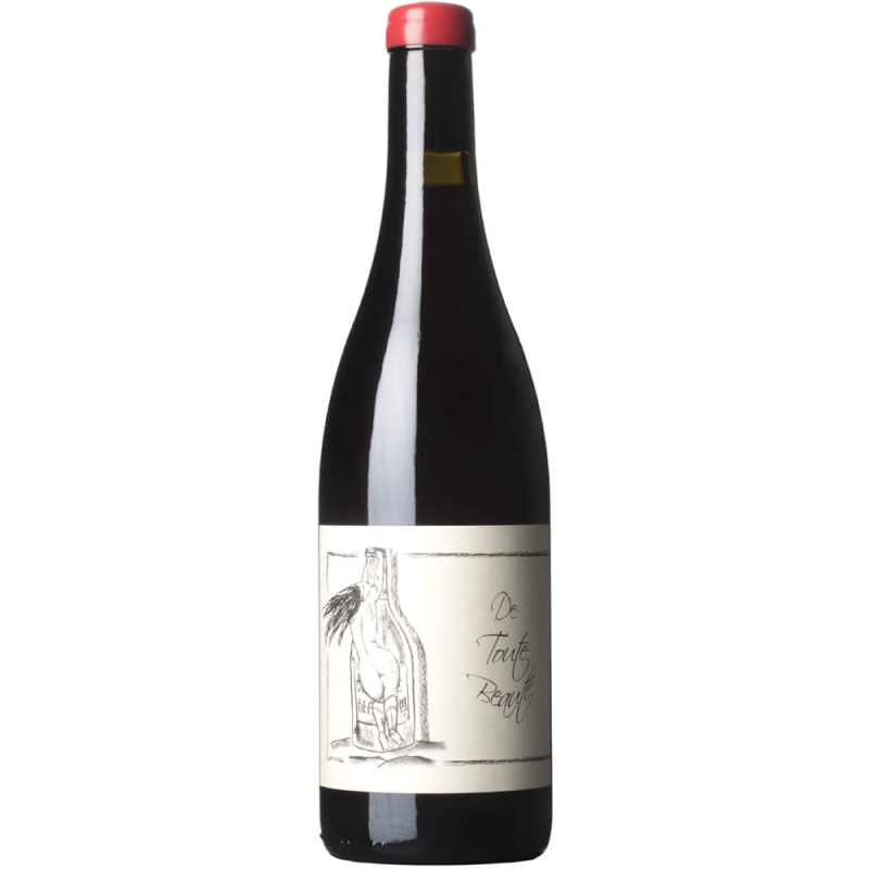 Anne et Jean Francois Ganevat De Toute Beaute | Red Wine – BoundbyWine