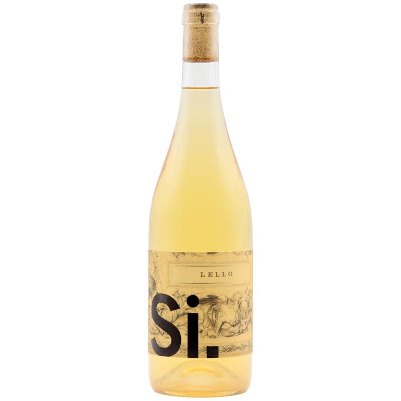 Si Vintners Lello | Orange Wine – BoundbyWine