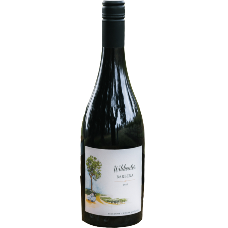Vineyard 28 Barbera | Red Wine – BoundbyWine