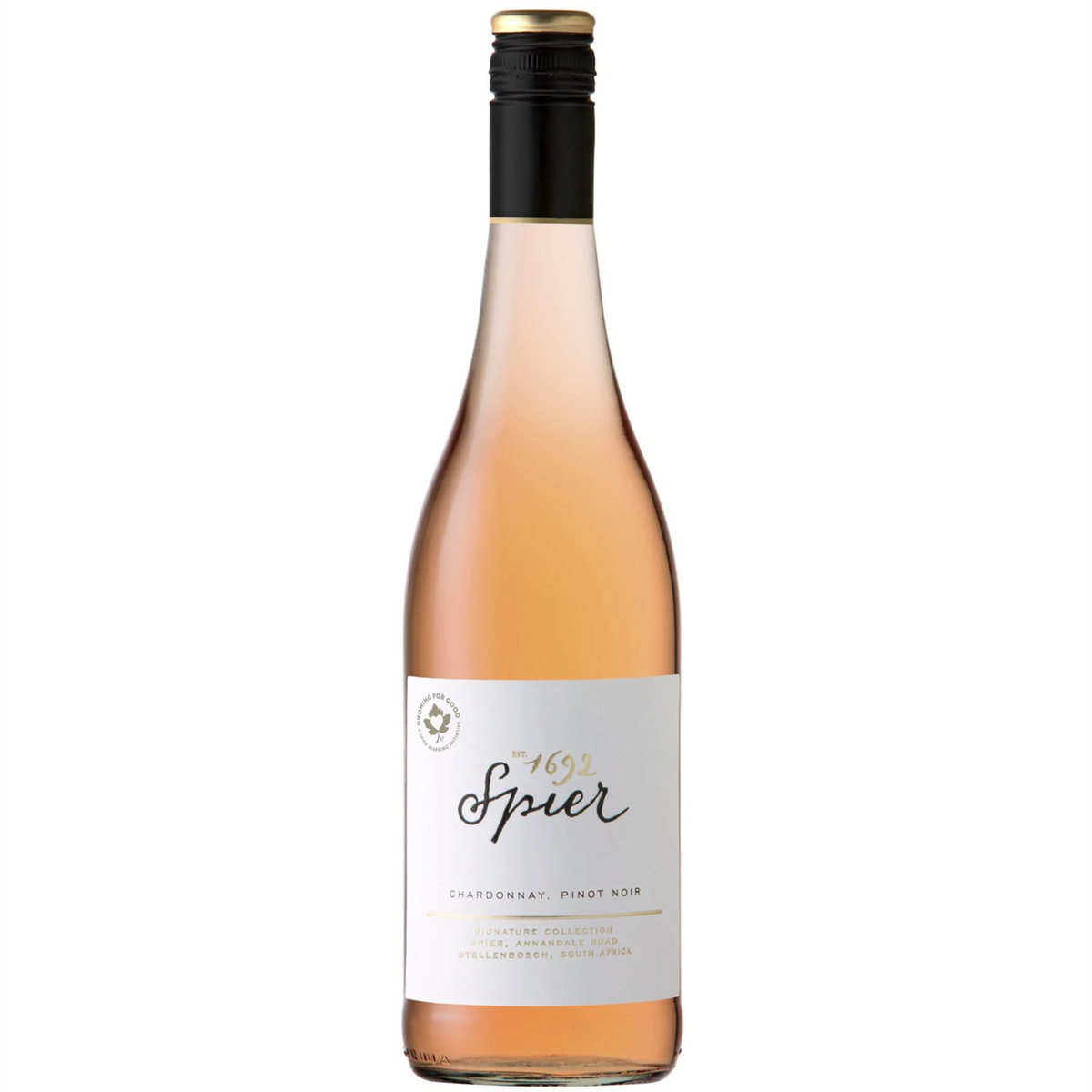 Spier Signature Chardonnay Pinot Noir Rosé | Rose Wine – BoundbyWine
